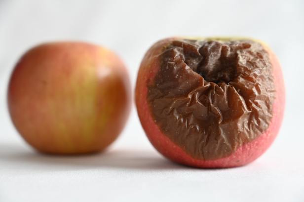 One rotten apple. Why we can’t have nice things – My mental health blog ...